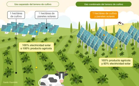 Agrovoltaica: Cómo la agricultura y la energía solar se unen - SegoSolar